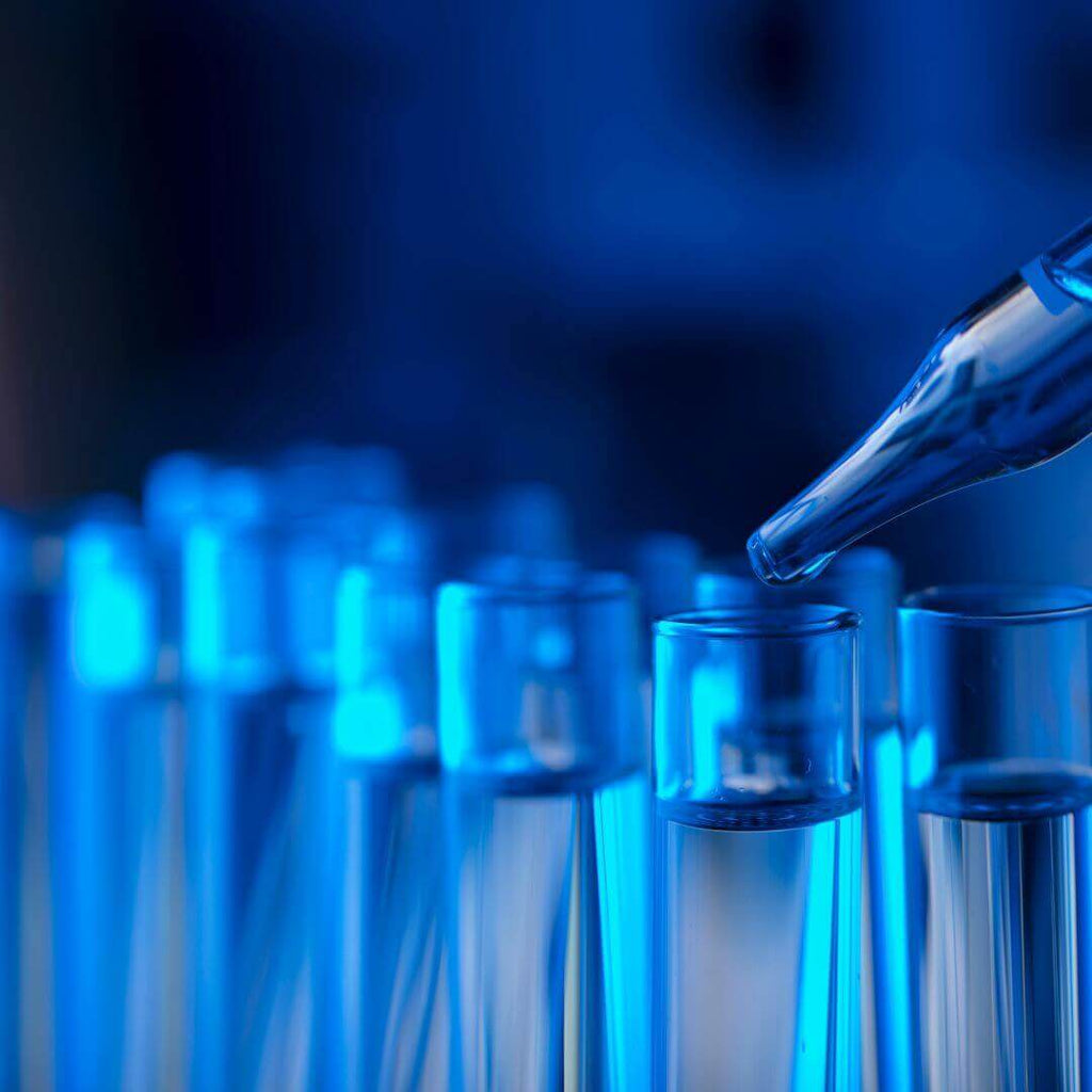 The Ultra Processed Chemicals In Fashion – Scarlet Destiny